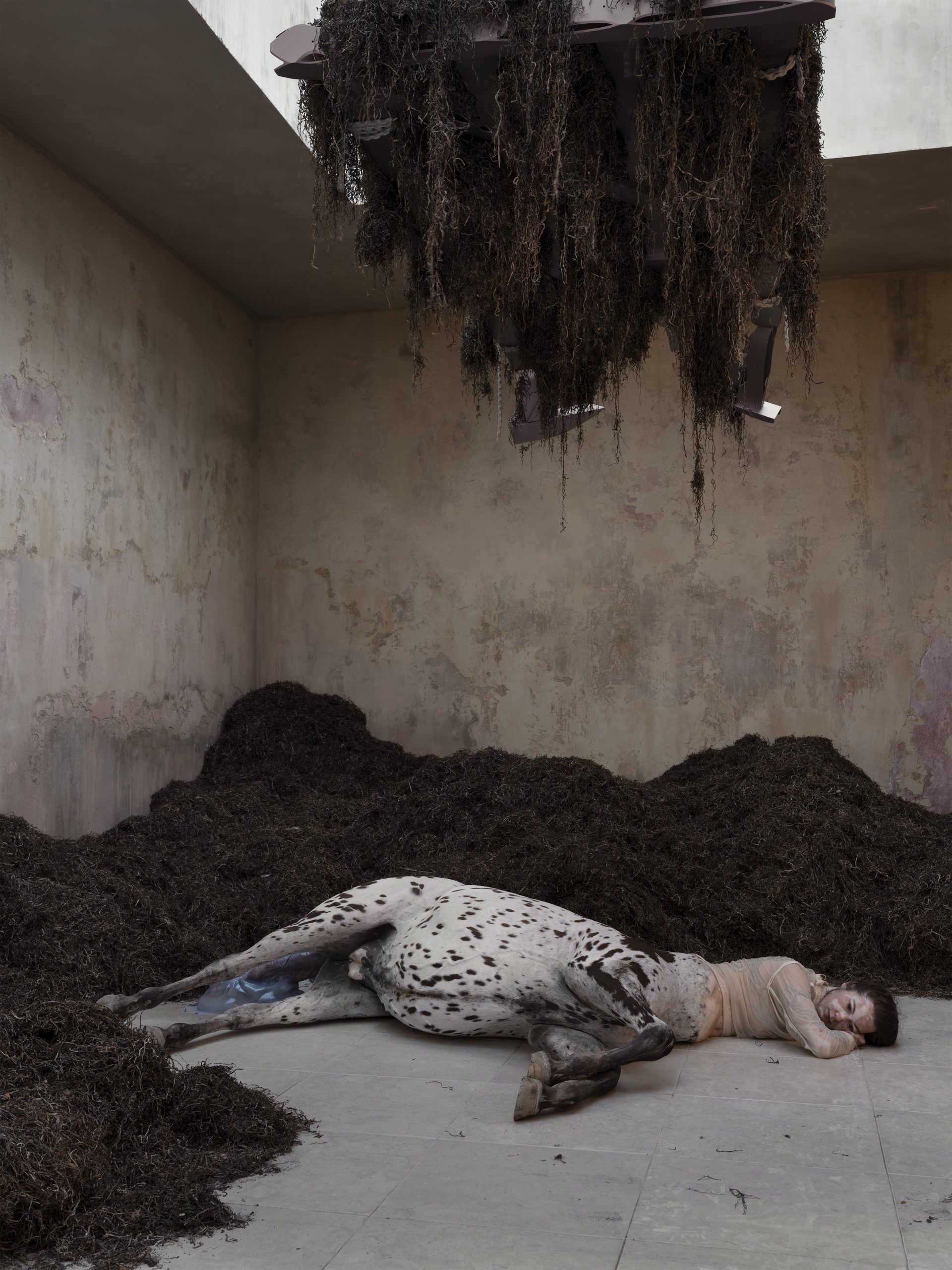 WE WALKED THE EARTH - UFFE ISOLOTTO - Biennale Arte 2022